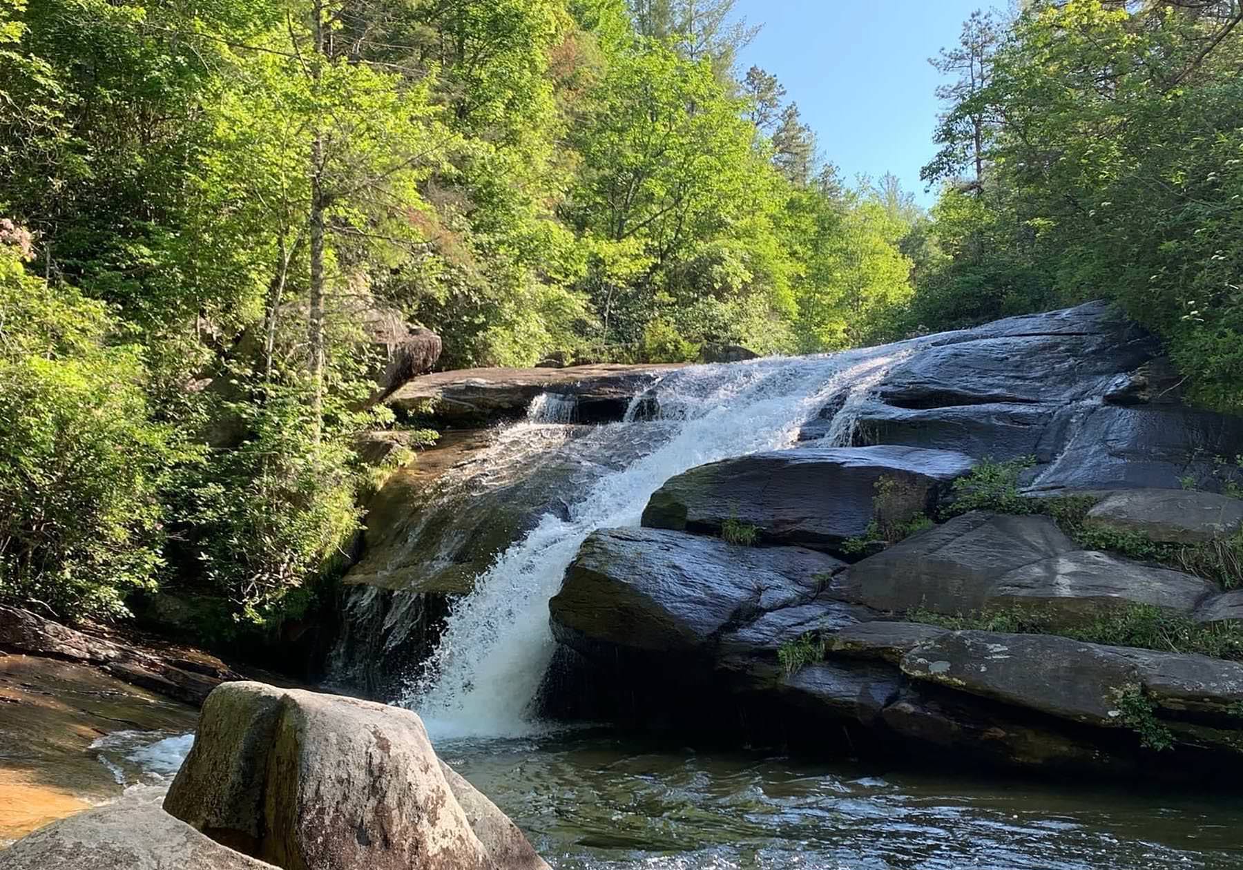Wintergreen Falls - Friends of Dupont Forest
