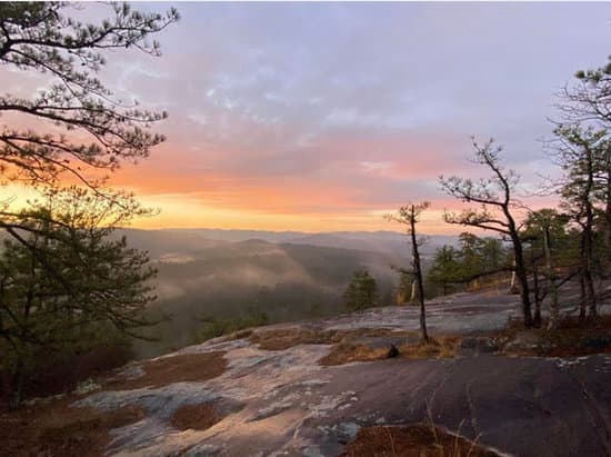 Consultant Selected to Develop Master Recreation Plan for DuPont Forest ...